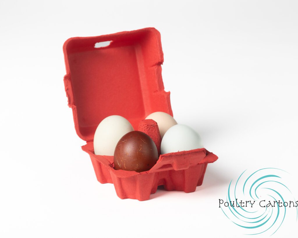 Red 4 Egg Carton | Eco Friendly 4 Cell Egg Packaging